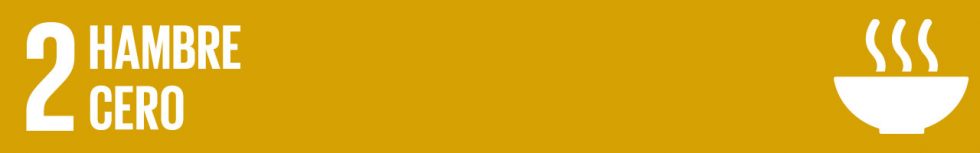 Objetivo 2 Estrategia 2030 Agencia Multidisciplinar